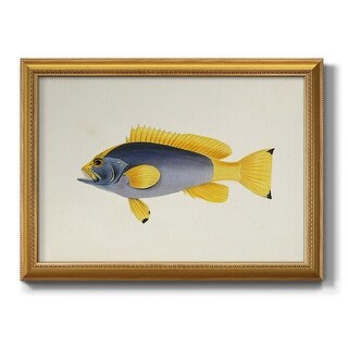 Tropical Fish Collection V Premium Framed Canvas- Ready to Hang ...