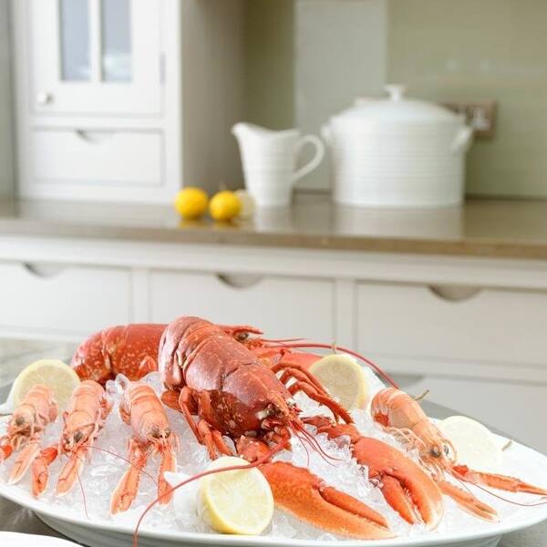 Portmeirion Sophie Conran White Fish Platter - 21 Inch - Bed Bath ...