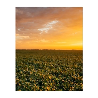 Towanda Illinois Towanda Sunrise 04 Photography Art Print/Poster - Bed ...