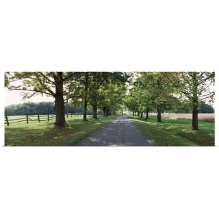 Trees on the both sides of a road, Knox Farm State Park, East Aurora ...