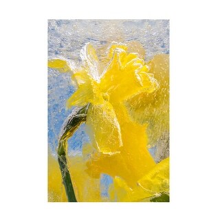 Elizabeth Bruders 'Silver Lining Daffodils in Ice' Canvas Art - Bed ...