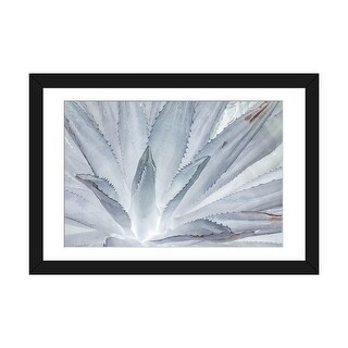 iCanvas "Exploding Agave" by JD Dennison PFA - Bed Bath & Beyond - 37294528