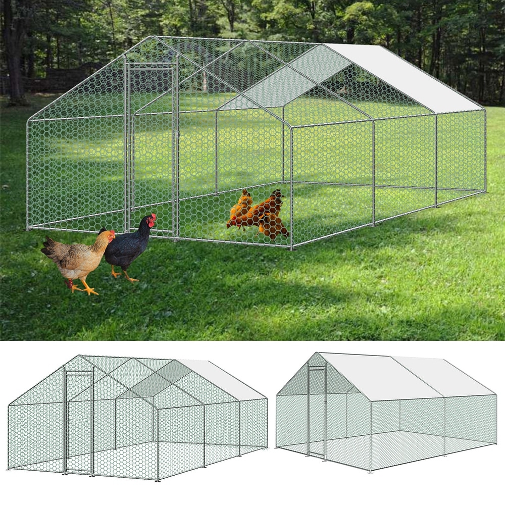 Extra Large Chicken Coops - Bed Bath & Beyond