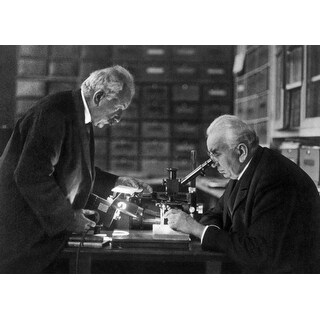 The Lumiere Brothers History - Bed Bath & Beyond - 24375303