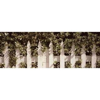 White Picket Fence Surrounded By Bushes Along Truman Avenue Key West ...