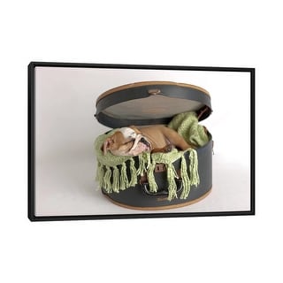 iCanvas "Lola III" by Rachael Hale Framed Canvas Print - Bed Bath ...