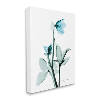 Stupell Blue Wildflower Study Translucent Plant Photography Canvas Wall ...