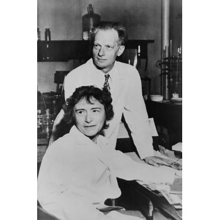 Dr Carl Cori And Dr Gerty Cori In Their Laboratory At The Washington ...