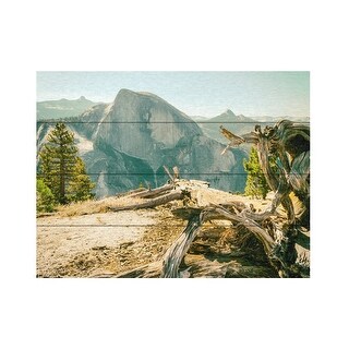 Joseph S Giacalone 'Mighty Half Dome 1' Wood Slat Art - Multi - Bed ...