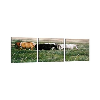 iCanvas "In Rhythm - Horses" by Kim McElroy 3-Piece Canvas Wall Art Set ...