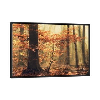iCanvas "Soft Fall" by Anton van Dongen Framed - Bed Bath & Beyond ...