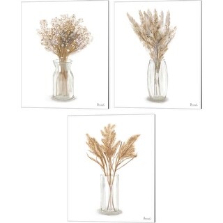 Bannarot 'Dried Flower' Canvas Art (Set of 3) - Bed Bath & Beyond ...