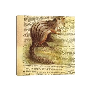 iCanvas "M - Mongoose Square" by 5by5collective Canvas Print - Bed Bath ...