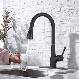 Vanityfair 3-Functions Single Handle Pull Down Sprayer Kitchen Sink ...