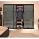 THE SLIDING DOOR COMPANY 3 Panel, Sliding Closet Doors, Frosted Glass ...