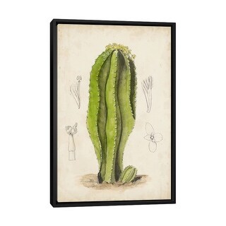 iCanvas "Antique Cactus VI" by Curtis Framed - Bed Bath & Beyond - 37081029