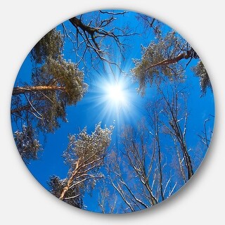 Designart 'Bright Sun in the Tree Top Circle' Modern Forest Disc Metal ...