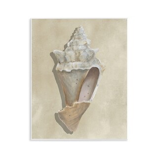 Stupell Tan Toned Conch Shell Wall Plaque Art Design By Michael Willett ...