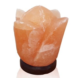 Open Tulip Himalayan Salt Lamp - Orange - Bed Bath & Beyond - 31059348