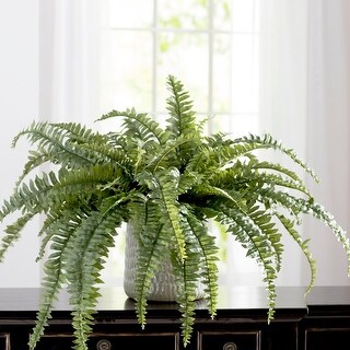 Silk Serenity's Jumbo Fern: 48-Inch Faux Fern with 60 Fronds and UV ...