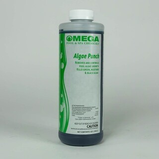 1 Qt. Omega Algae Punch Algaecide for Swimming Pools - Bed Bath ...