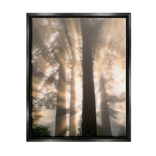 Stupell Sun Rays Through Trees Floating Framed Canvas Wall Art, Design ...