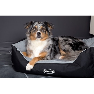 Scruffs Expedition Box Bed - Graphite Grey - Bed Bath & Beyond - 28365144