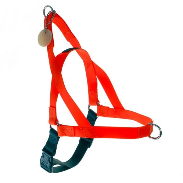 freedom harness
