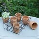 Wire Caddy with Six Miniature Terra Cotta Pots - 10''W x 6¾''D x 6¼''H ...