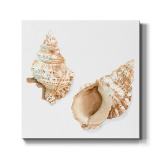 Watercolor Shells VII-Premium Gallery Wrapped Canvas - Ready to Hang ...