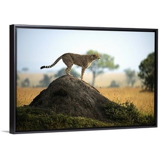 "Cheetah (Acinonyx jubatus) standing on rock, side view, Masai Mara ...