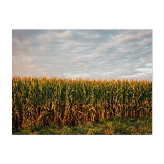 Towanda Illinois Corn Towanda Photography American Art Print/Poster ...