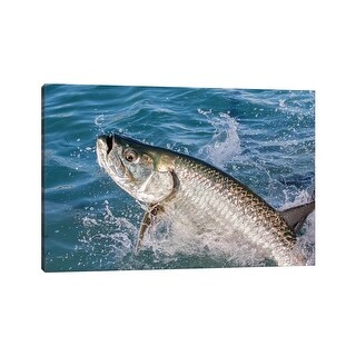 iCanvas "Florida Keys Tarpon" by Eric Fisher Canvas Print - Bed Bath ...