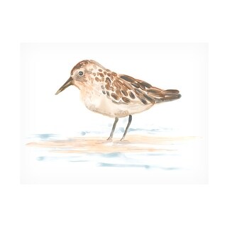 June Erica Vess 'Pretty Piper II' Canvas Art - Bed Bath & Beyond - 39539098