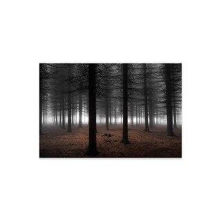 Silence Print On Acrylic Glass by Dragisa Petrovic - Bed Bath & Beyond ...