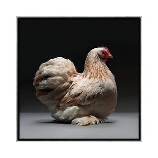 iCanvas "Cochin Bantam" by CHICken Framed - Bed Bath & Beyond - 37649171