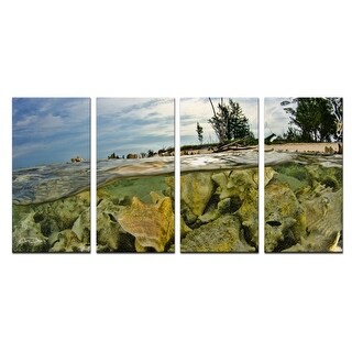Ready2HangArt 'Conch Shells' 4-Piece Wrapped Canvas Wall Art Set - Bed ...