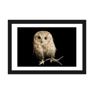 iCanvas "A Western Screech Owl, Sonoran Desert Colorphase At The Sutton ...