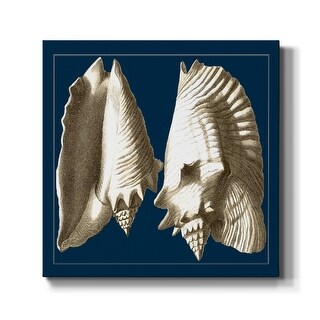 Conch Shells on Navy I-Premium Gallery Wrapped Canvas - Ready to Hang ...