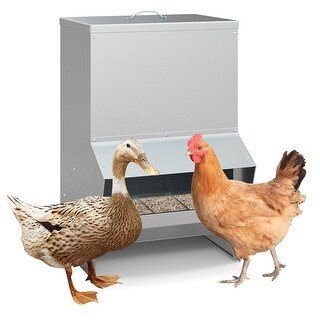 Silver Galvanized Metal Chicken Feeder, 50 lbs. Capacity, with Openable ...