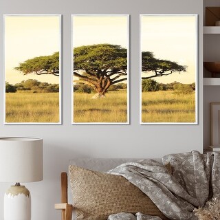Designart "Acacia Tree on African Plain" Landscape Framed Artwork Set ...