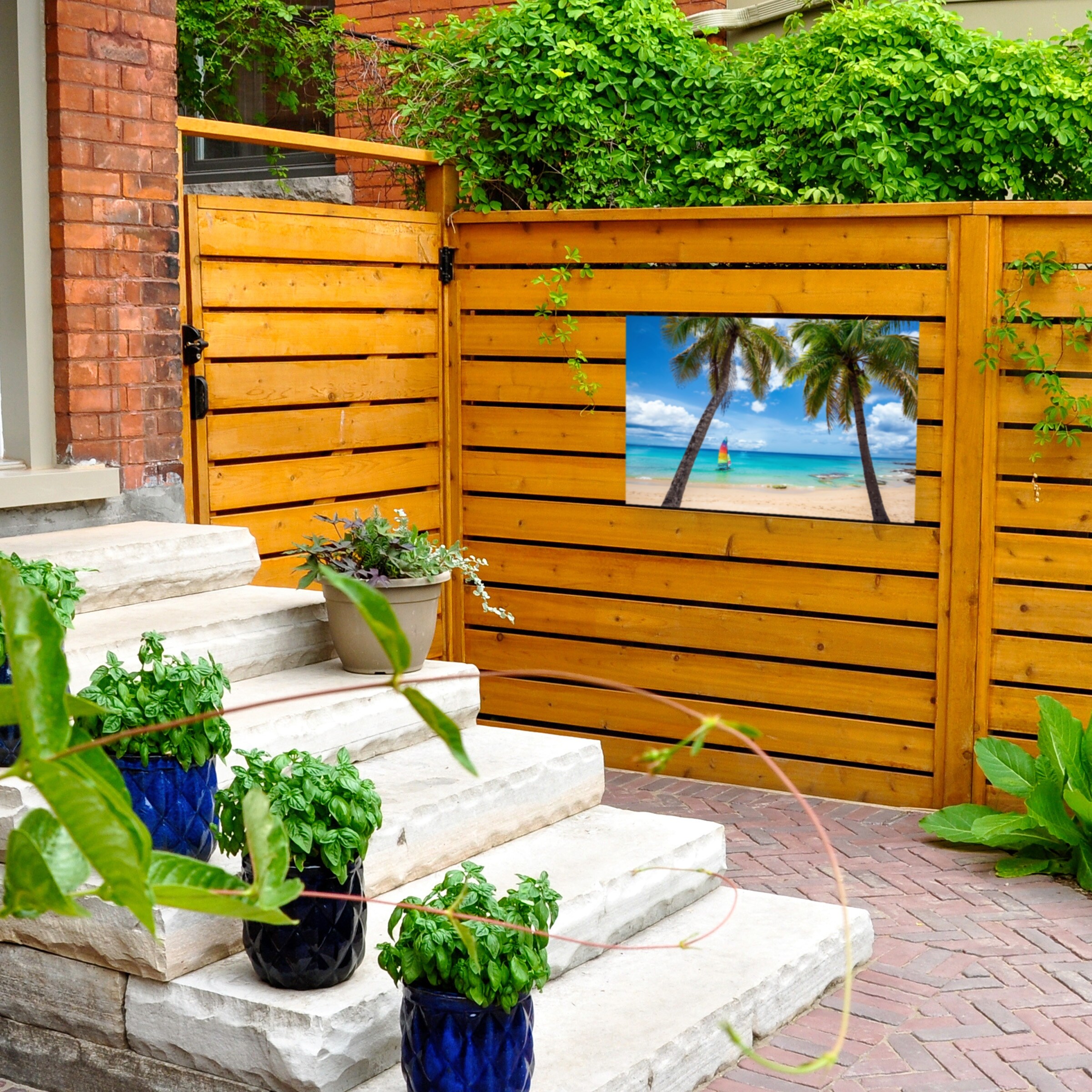 postcards for the backyard