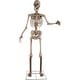 Haunted Hill Farm 8-Ft. Tall Bones McNeely the Towering Skeleton ...