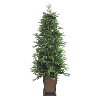6' Pre-Lit Potted Oregon Noble Fir Slim Artificial Christmas Tree - LED ...