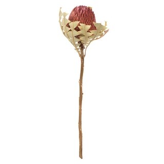 Vickerman 12" Erica Pink Baxteri (Banksia) Flower with Stem. Includes 3 ...