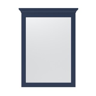 24" × 32" Inch Blue Frame Wall Mirror - Bed Bath & Beyond - 37579710