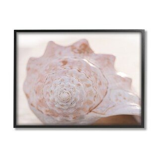 Stupell Beach Life Conch Shell Photography Framed Giclee Art by Elena ...
