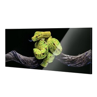 Green Tree Snake Glossy Lacquer Canvas Wall Art Print Panel, 48" x 18 ...