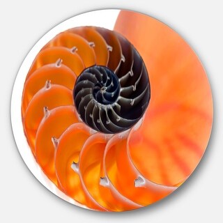 Designart 'Orange Nautilus Shell' Abstract Art Disc Metal Wall Art ...