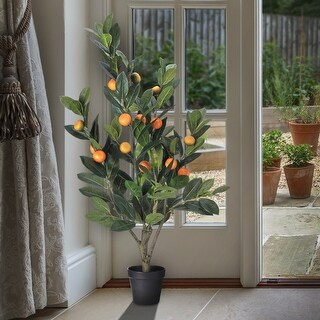 Potted Mandarin Orange Tree 3' - Bed Bath & Beyond - 37212245